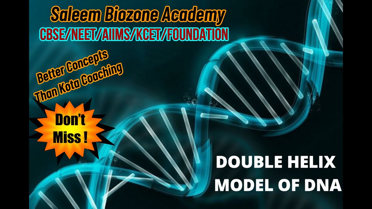 Structure of DNA (DNA double helix) : Watson Crick Model - YouTube