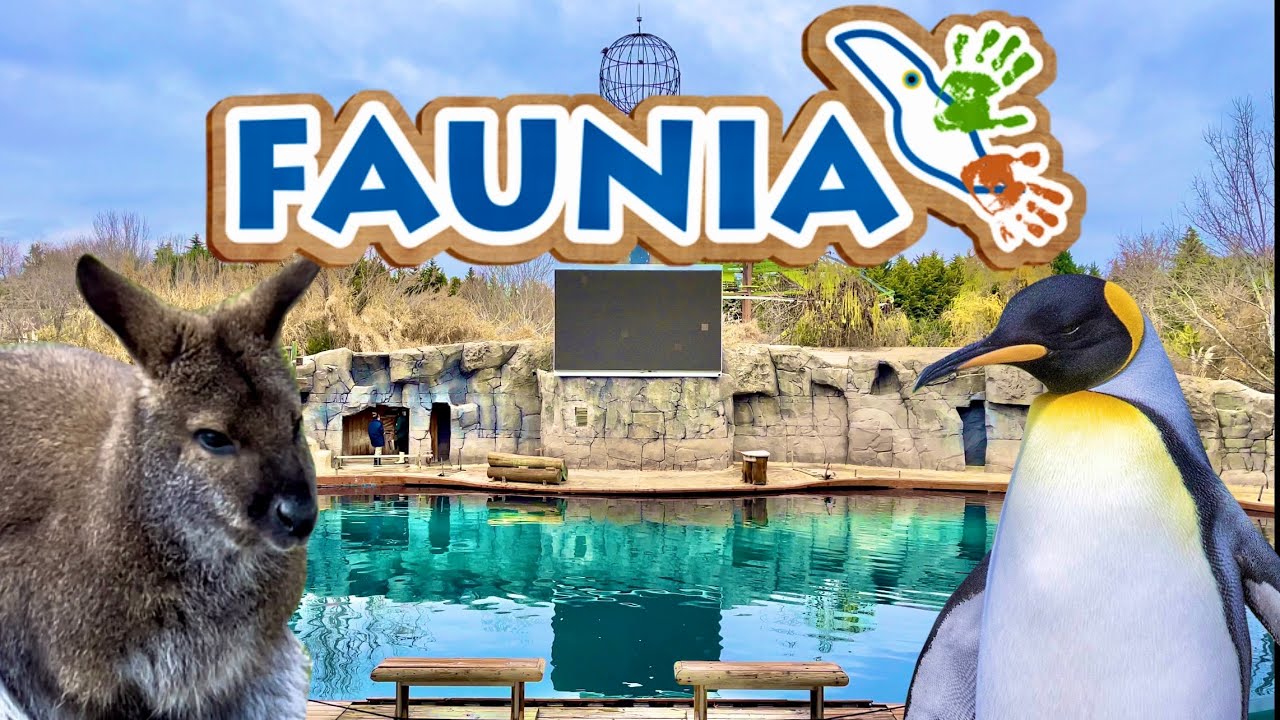 [4K] FAUNIA MADRID - YouTube