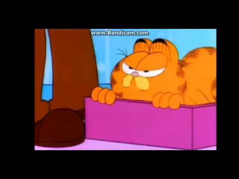 Mouse in the House - Garfield Cat (Music Video) - YouTube