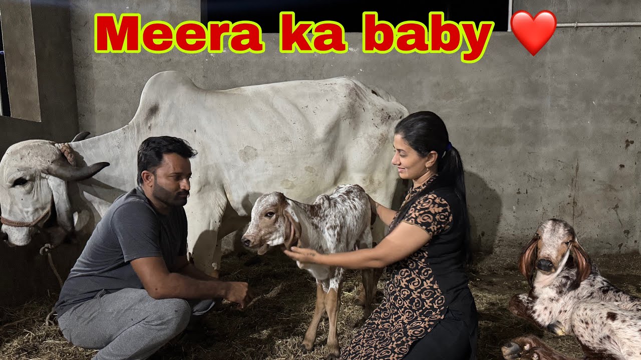 meera-ka-baby-aa-gya-raat-ko-youtube