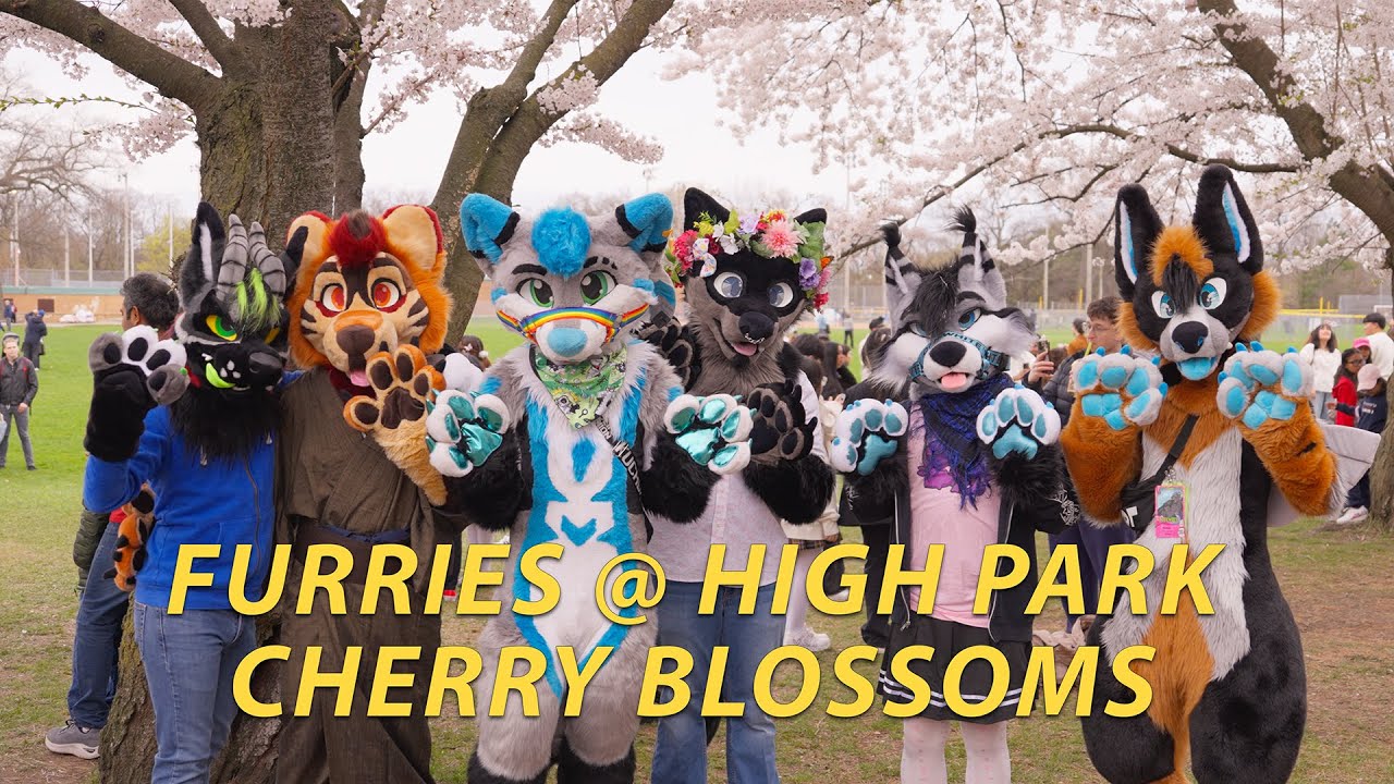#Fursuiting at Toronto's High Park Cherry Blossoms in Canada! - YouTube