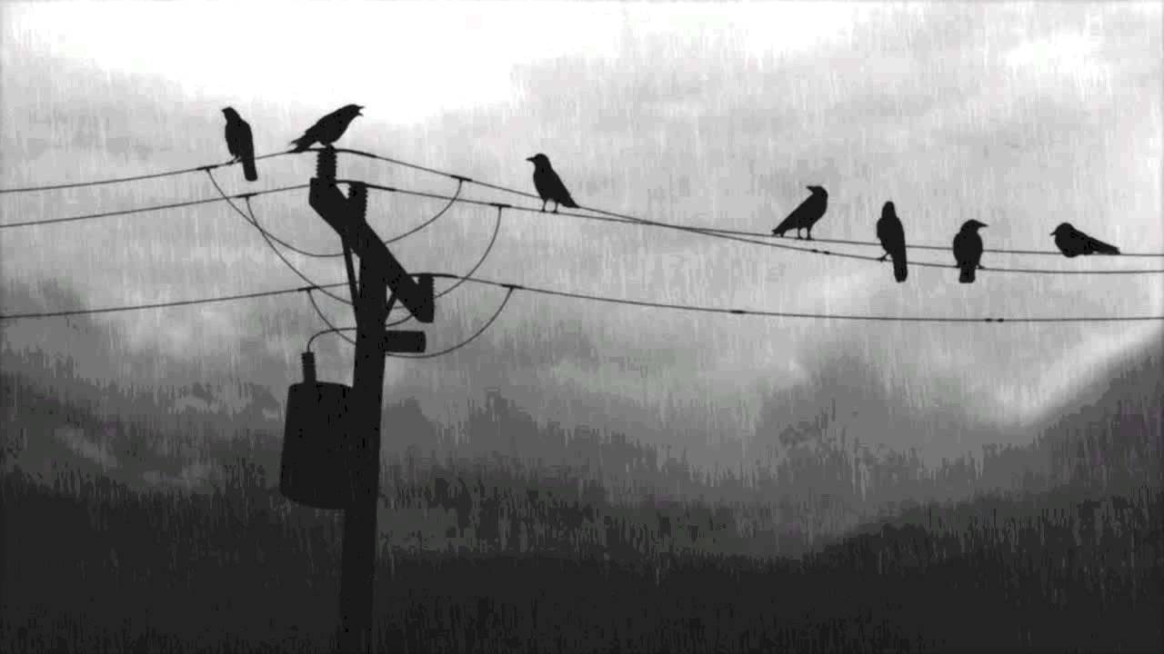 Caved Crow - Catching Fire - YouTube