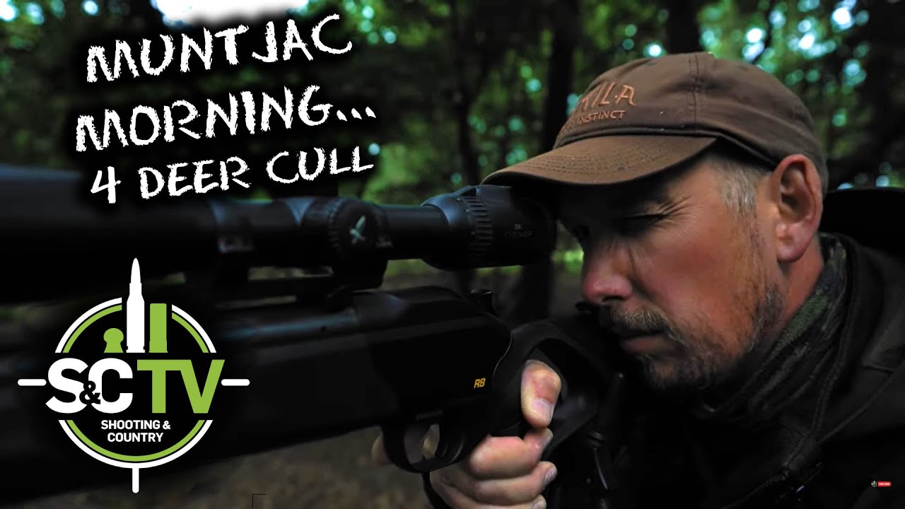 S&C TV | Deer management with Chris Rogers 11 | Expert UK muntjac cull (4 in 1 morning) - YouTube