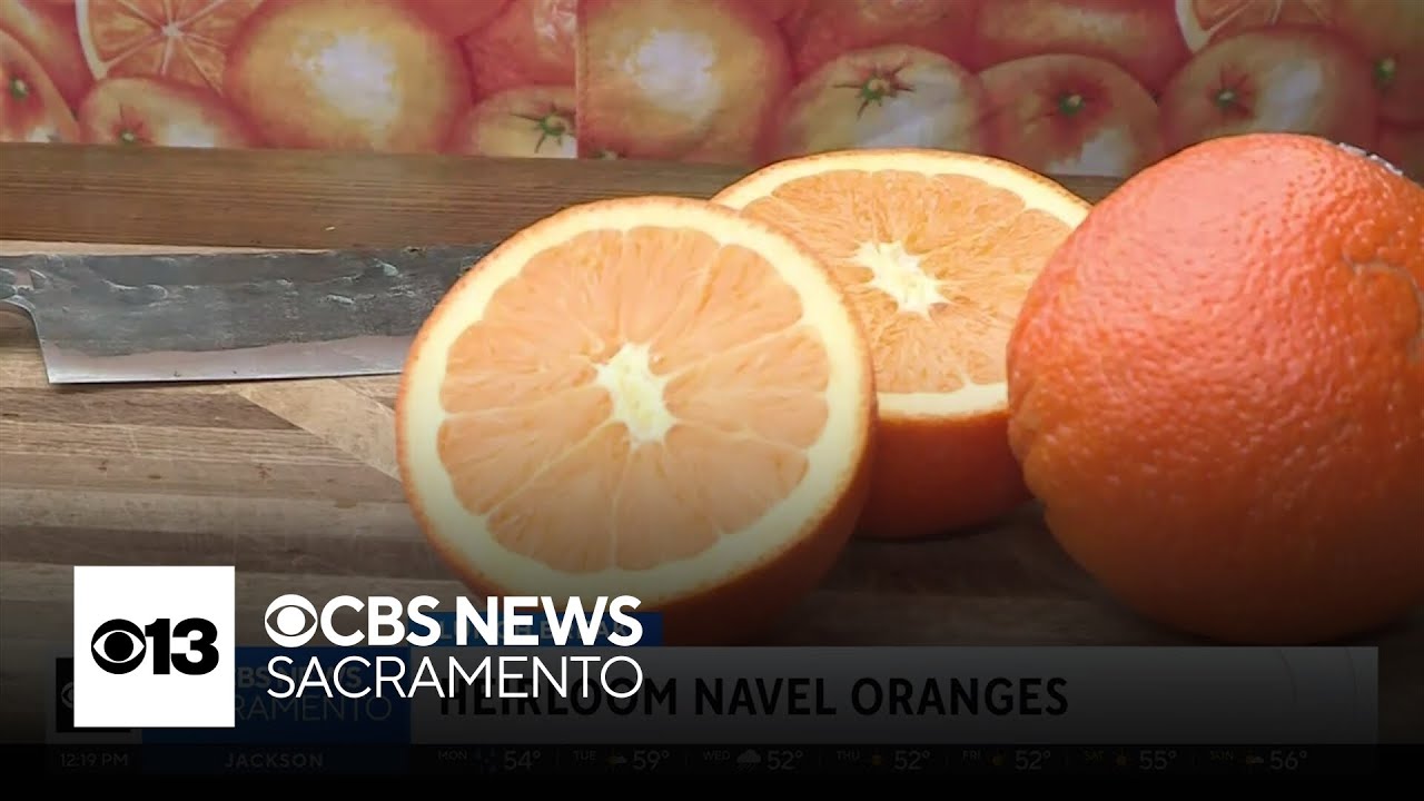 Heirloom navel oranges | Lunch Break with Michael Marks - YouTube