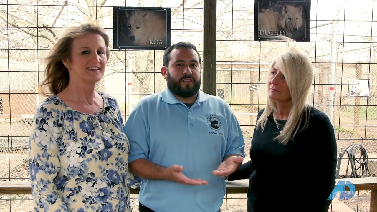 Lisa Gregory Realty - The Wolves Sanctuary - YouTube