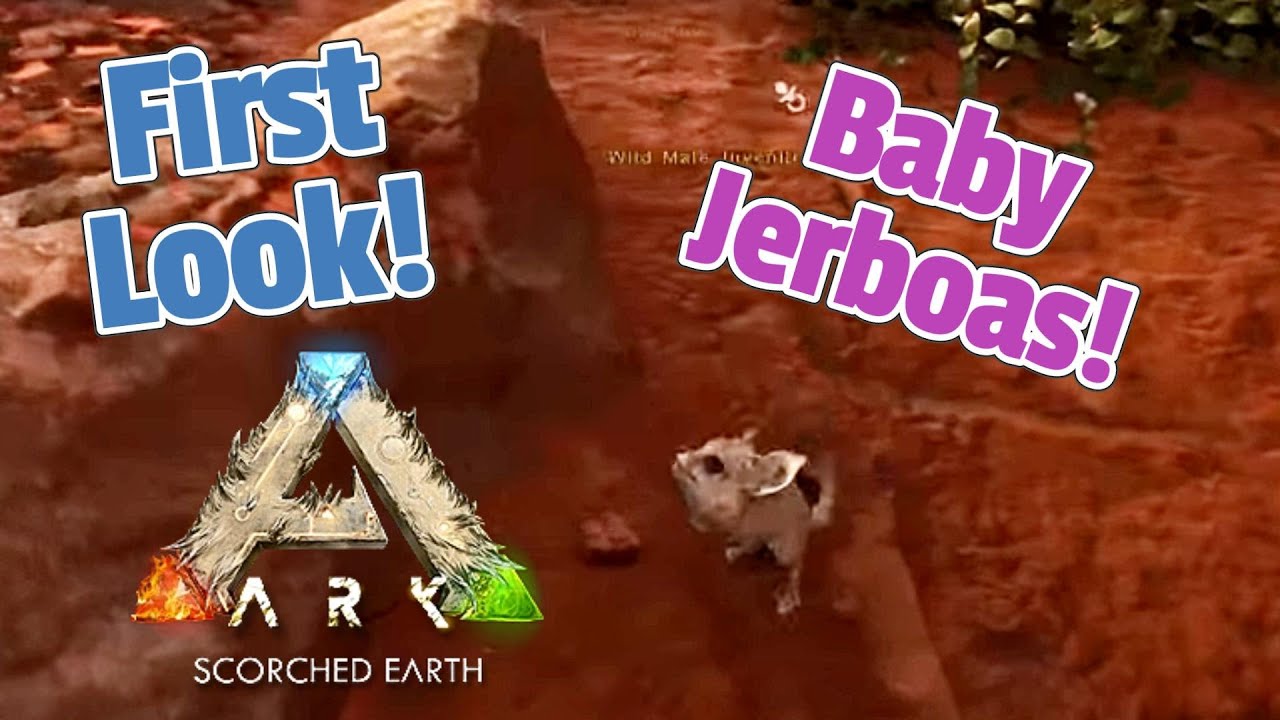 First Look -Scorched Earth - Baby Jerboas! - Ark: Survival Ascended ...