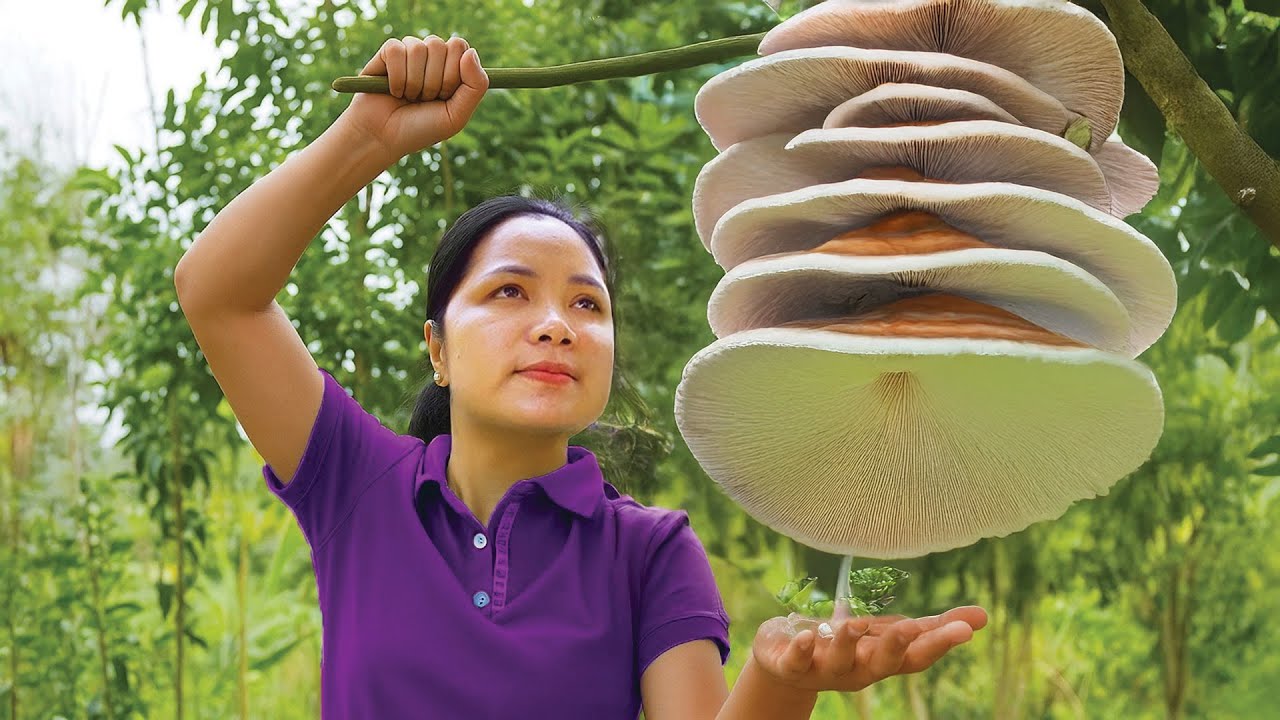 Harvesting Giant Mushrooms in the Countryside – Peaceful Village Life ...