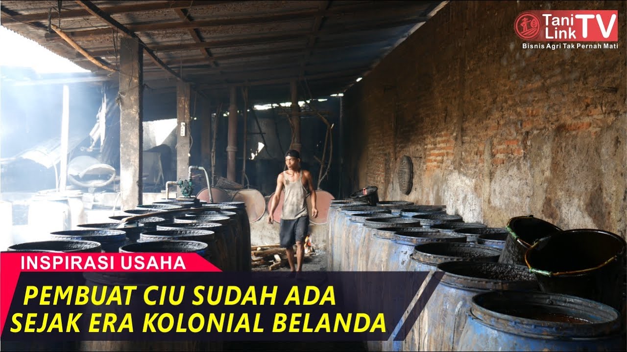 Minuman Tradisional Ciu diolah Menjadi Alkohol - YouTube