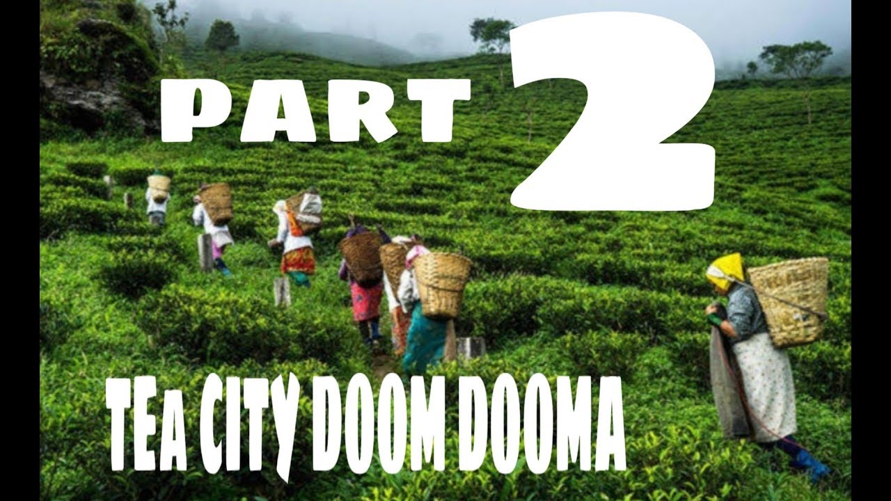 Tea city Doom dooma part - 2 - YouTube