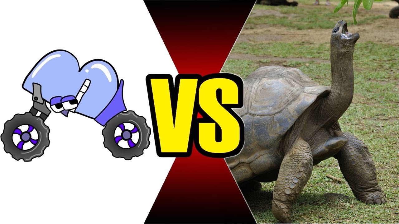 Alphabet Lore! The best transformations of "B" vs funny turtles! - YouTube