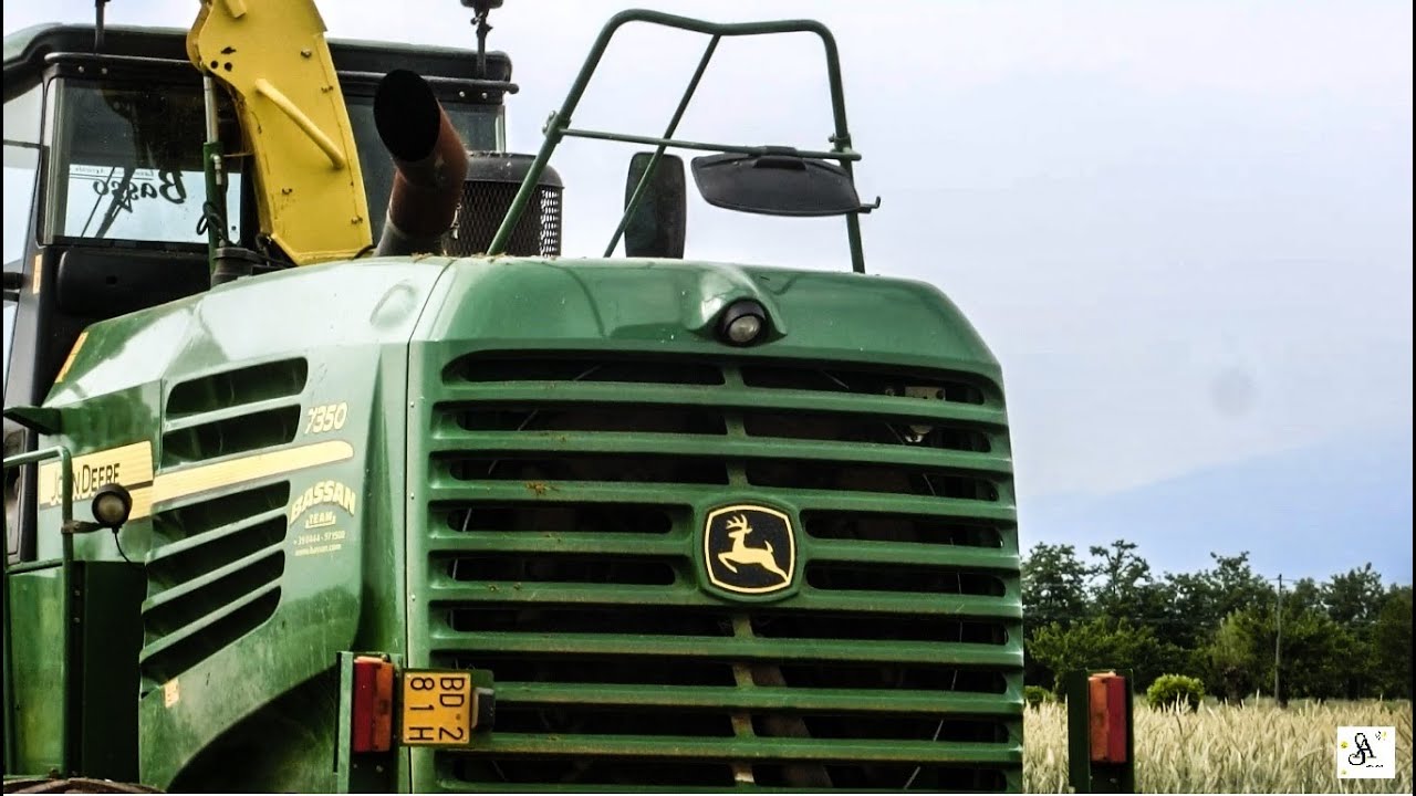 Insilato Triticale 2016 | Triticale silage 2016 - YouTube