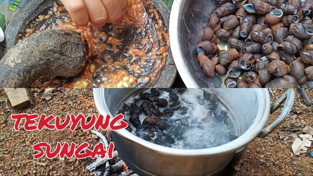 Sedapnya makan tekuyung - YouTube