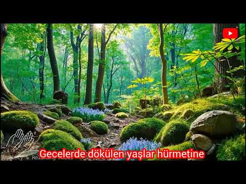 Muhammed Aşkına Yakma YA RABBİ