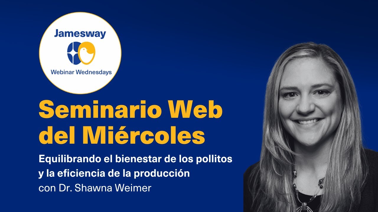 Equilibrando el bienestar de los pollitos y la eficiencia de la producción con Dr. Shawna Weimer ...
