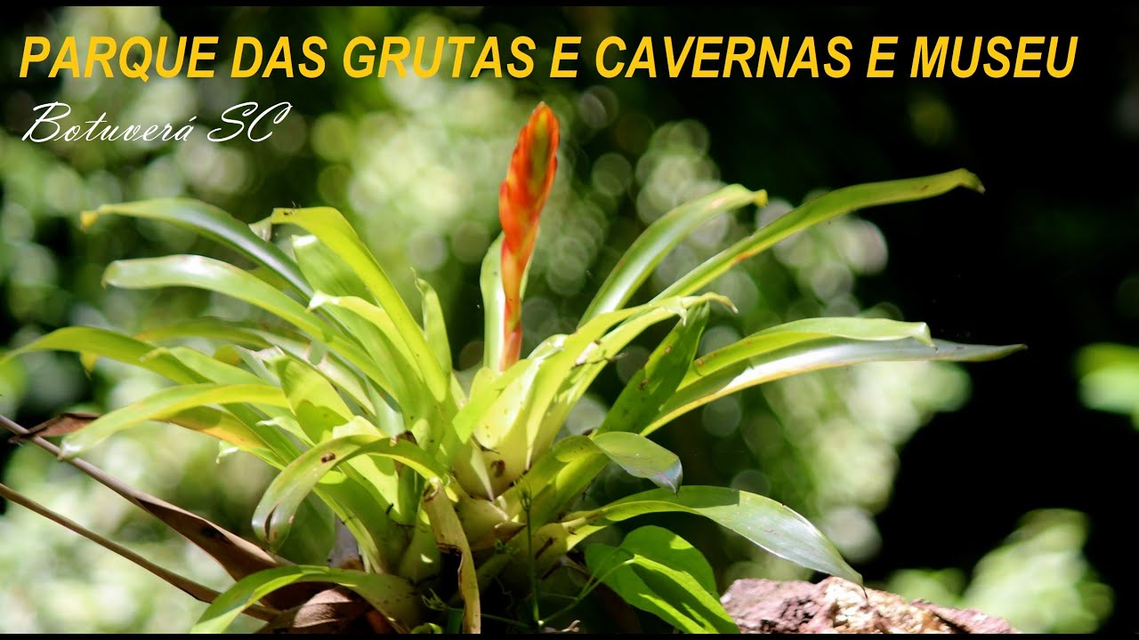 PARQUE DAS GRUTAS E CAVERNAS E MUSEU - BOTUVERÁ SC - YouTube