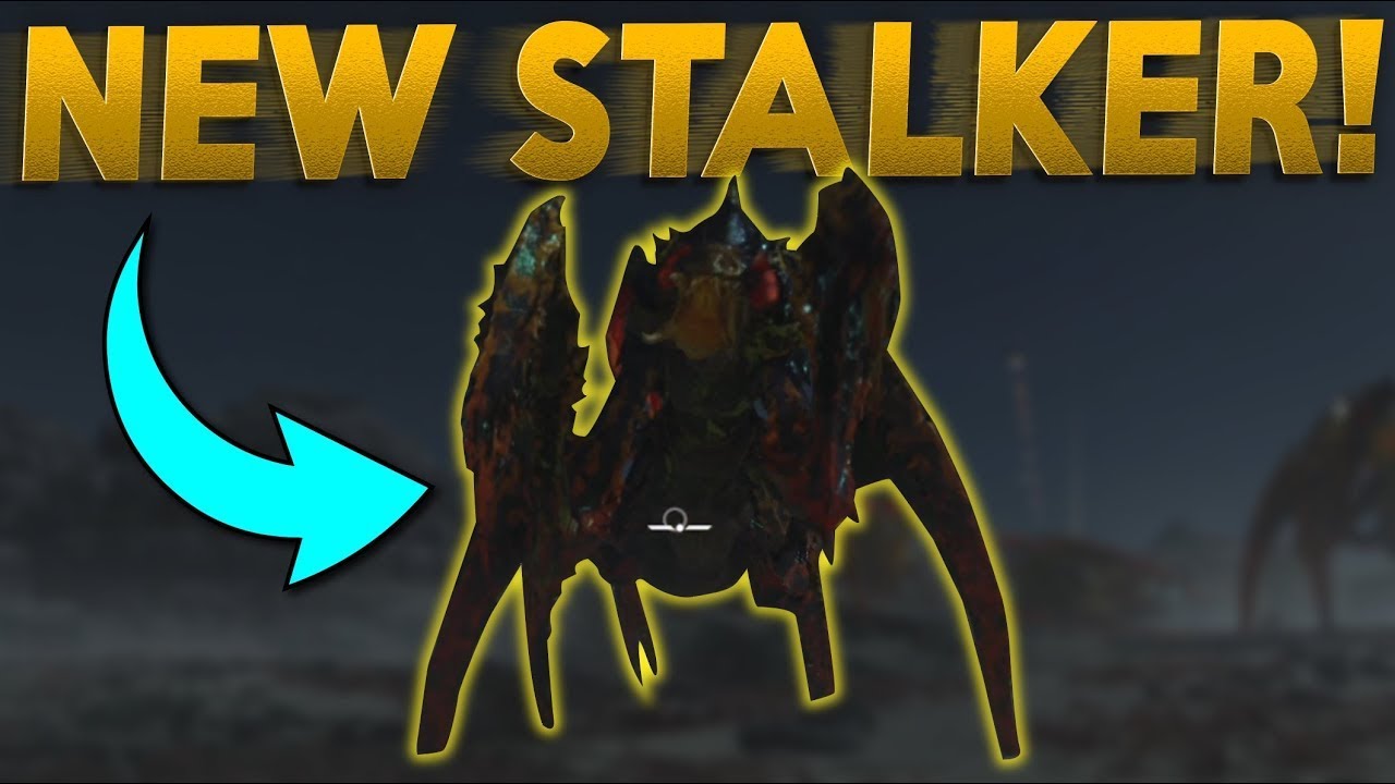 HELLDIVERS™ 2 I LVL 10 Predator Stalkers Gameplay I RTX 5080 & Ryzen 7 ...