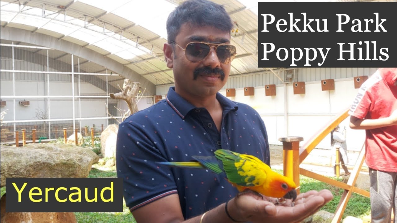 Yercaud Bird Park | Pekku Park | Yercaud poppy hills adventure park ...