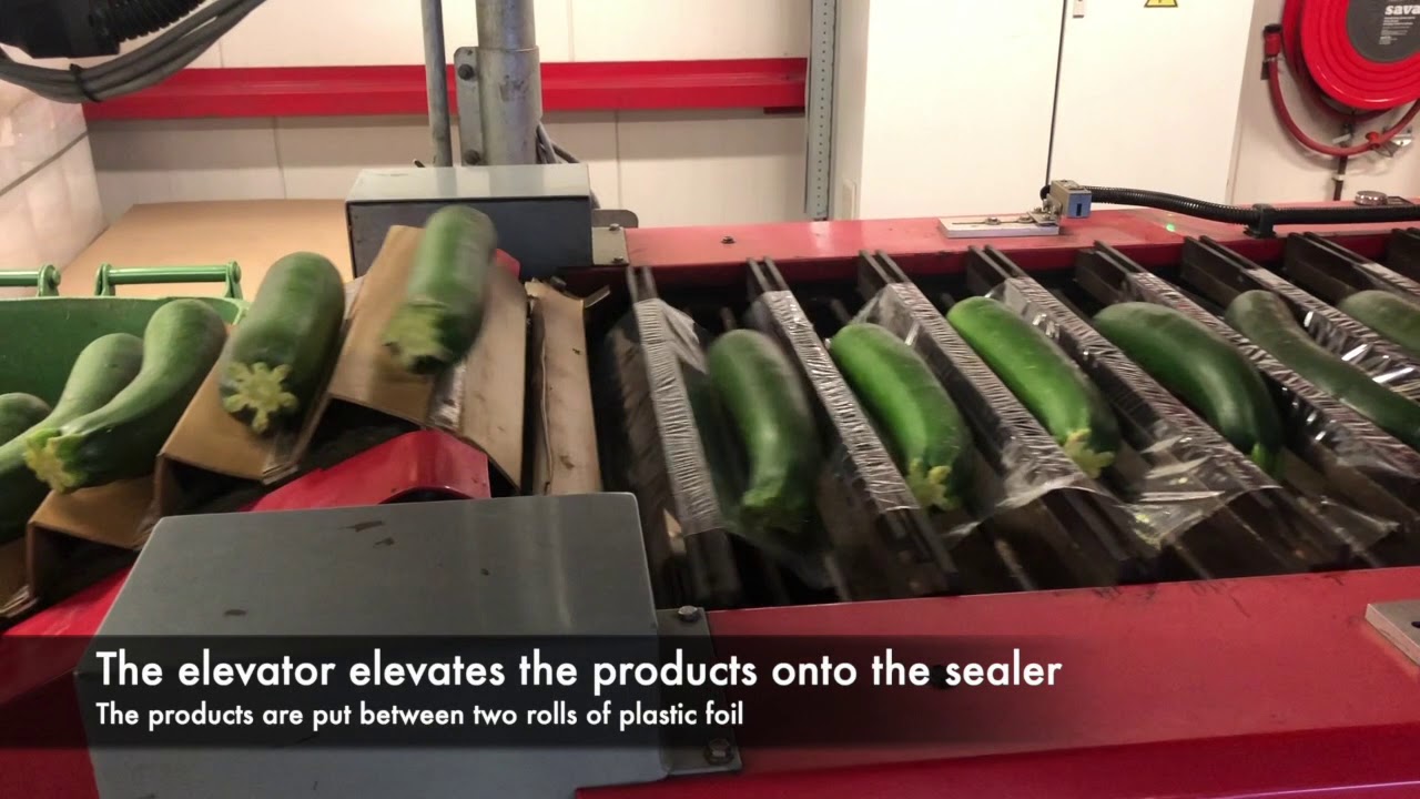 Aweta SK1 cucumber sealing machine - YouTube