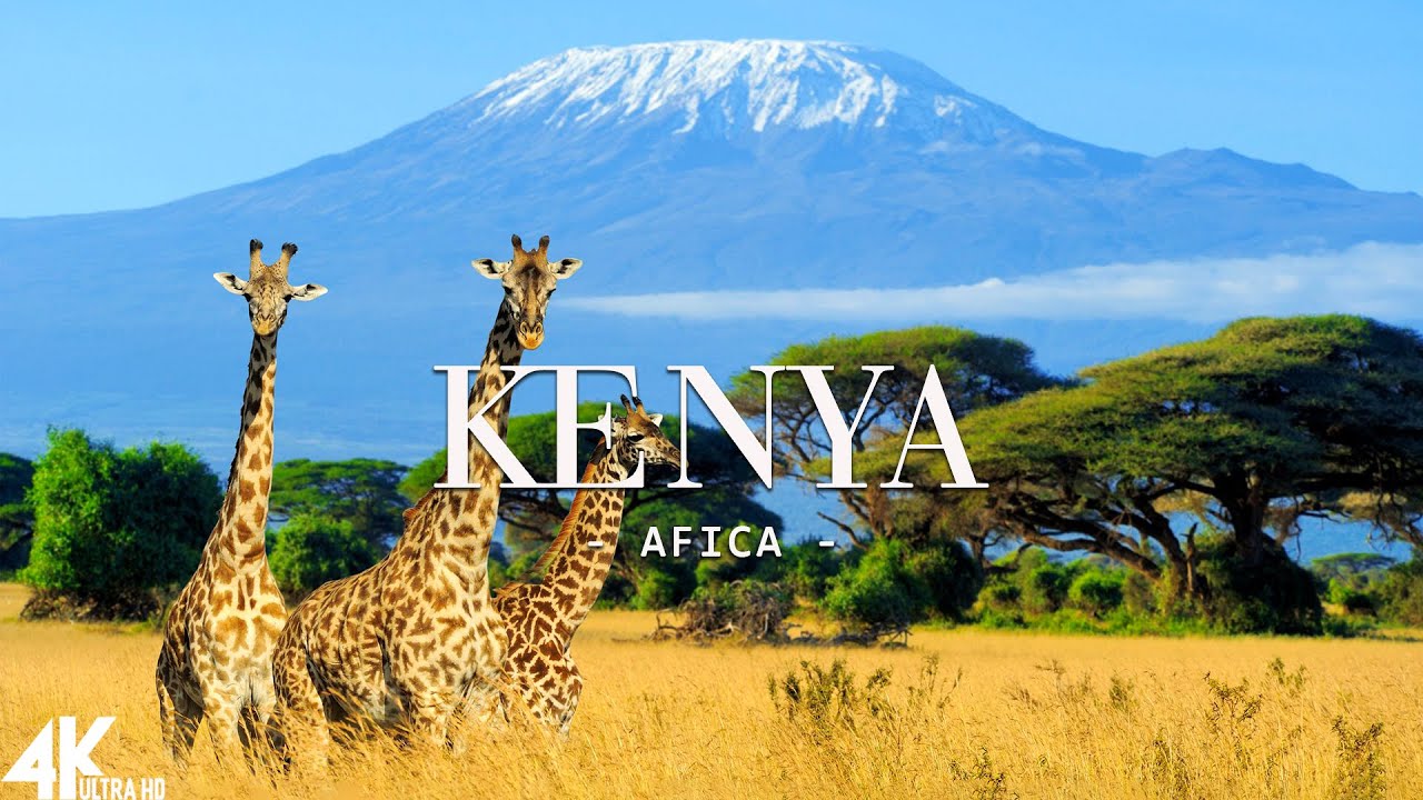 KENYA 4K UHD - Kenya The Jewel of East Africa - Scenic Relaxation Film ...