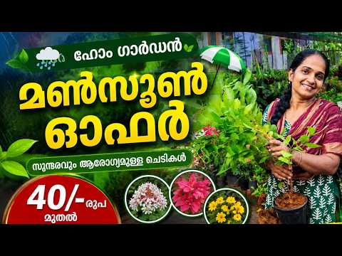 മൺസൂൺ ഓഫർ തുടങ്ങി! 🌧️ 🌿 🌸🌱 | HOME GARDEN PLANTS OFFER |  VLOG 190