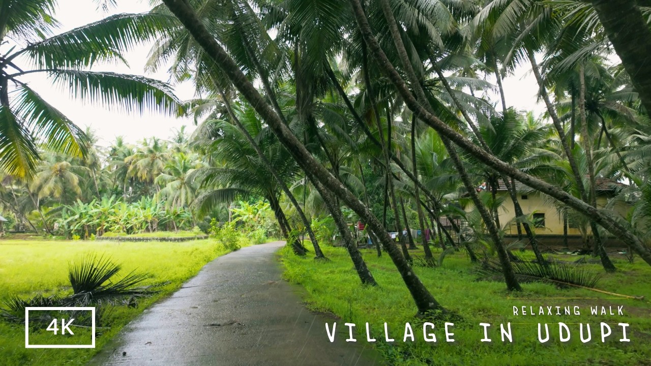 Relaxing Walk through a Village in Udupi, Karnataka | Village in India ...