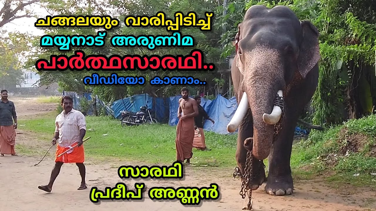 മയ്യനാട് അരുണിമ പാർത്ഥസാരഥി & പ്രദീപ്, mayyanad arunima parthasarathy ...