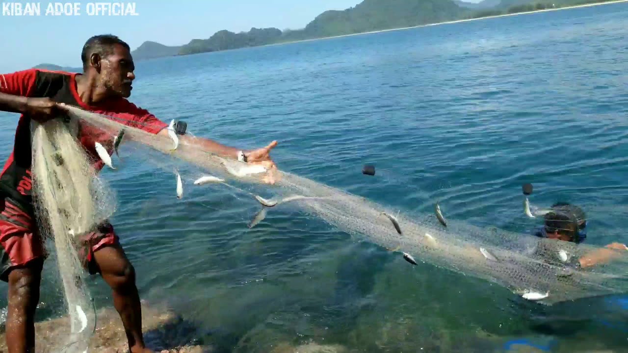 menjaring ikan di laut?#pantai saney - YouTube