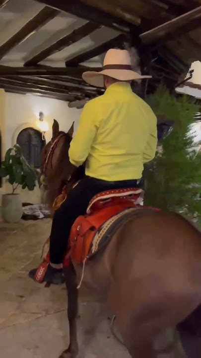 criadero San Andres - YouTube