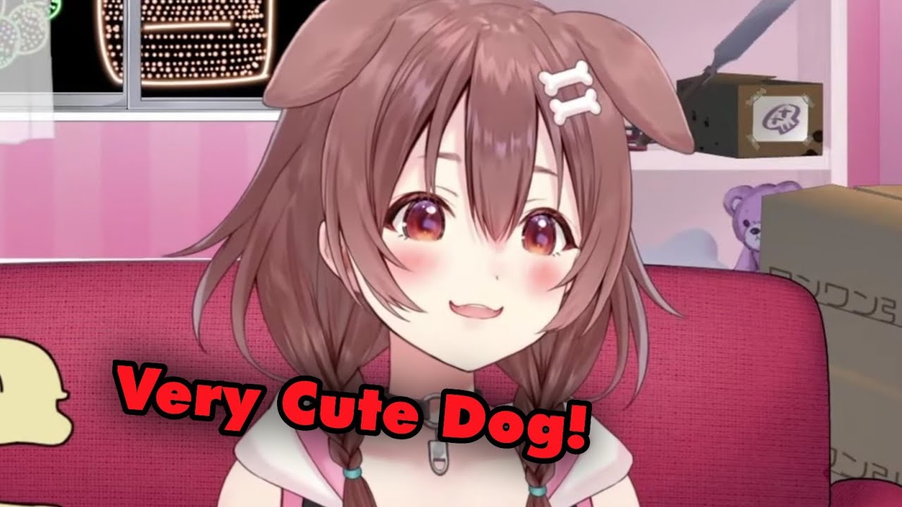 "I am cute dog" - Korone - YouTube