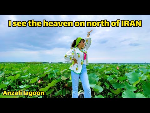 Travel to amazing north of IRAN-ANZALI LAGOON