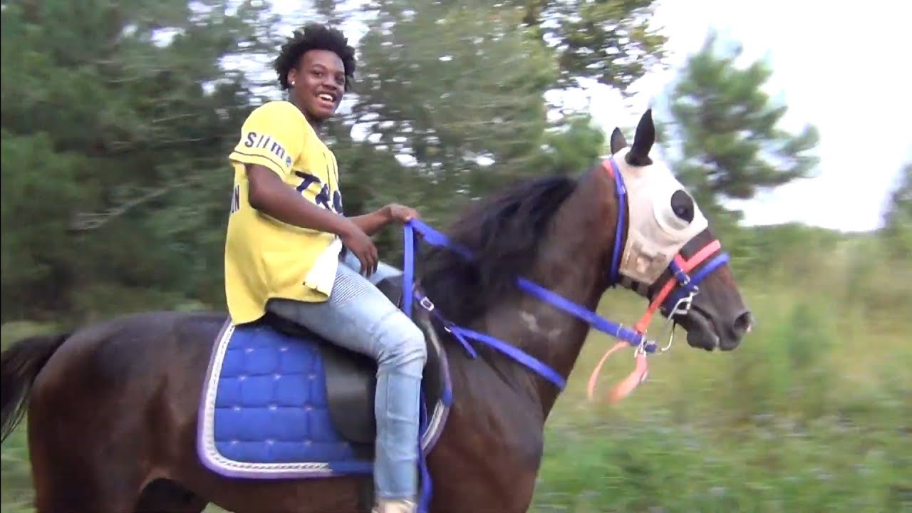 Galloping Guys Trail Riders - YouTube