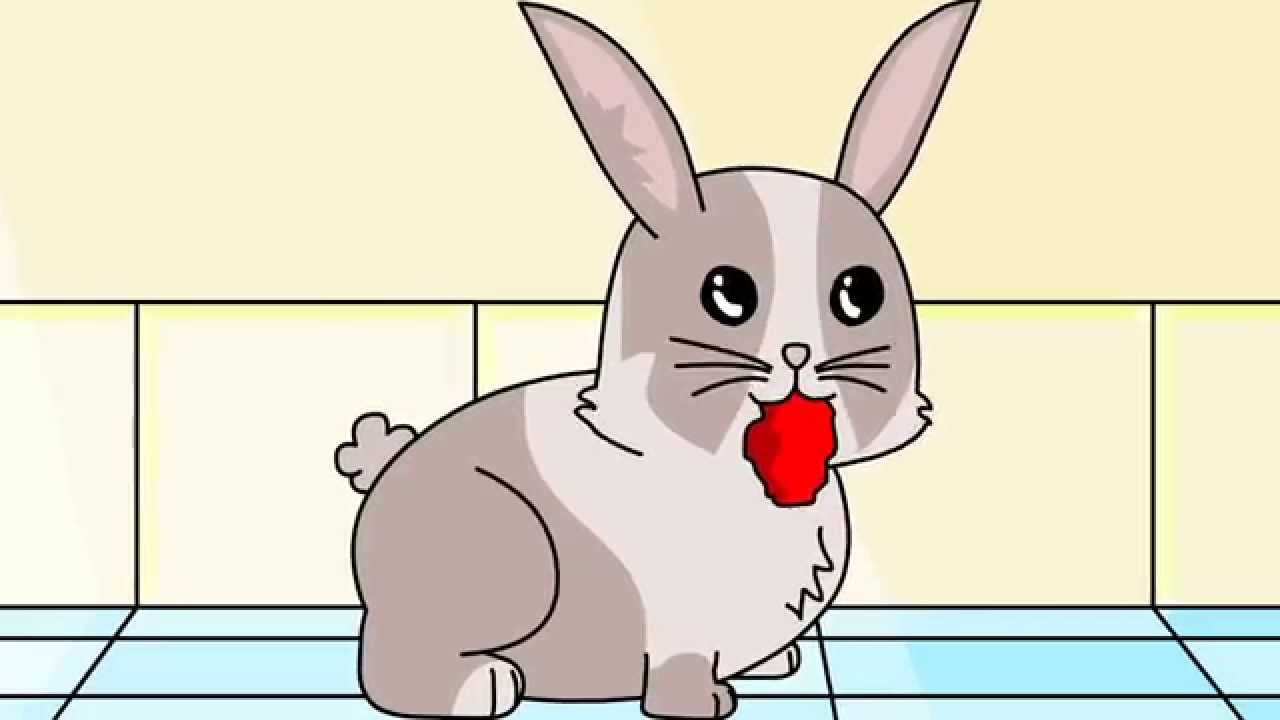 Bunny Eating Raspberries! (Animation) - YouTube