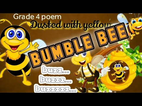 dusted with yellow poem....bumble bee..grade 4 poem...bee poem...buzz ...