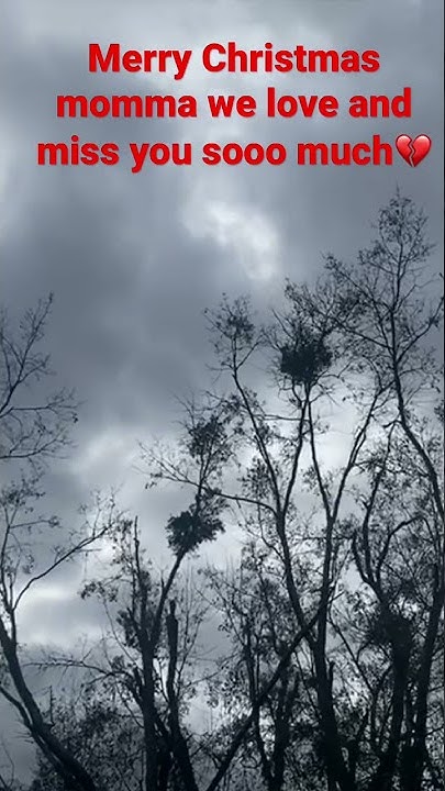 Merry Christmas Momma 🥰 We Miss You 💔 Youtube