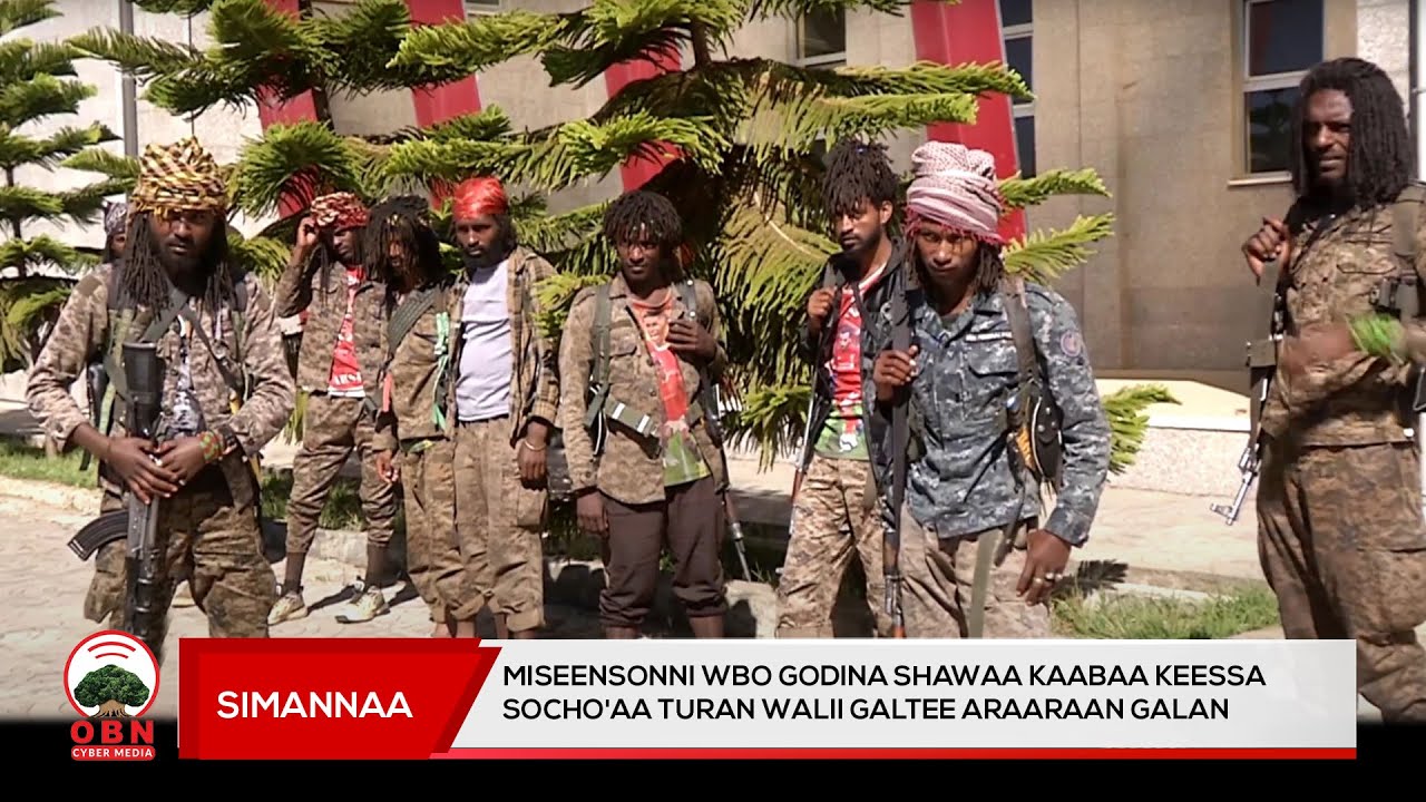 Miseensonni WBO Godina Shawaa Kaabaa keessa socho'aa turan walii galtee ...