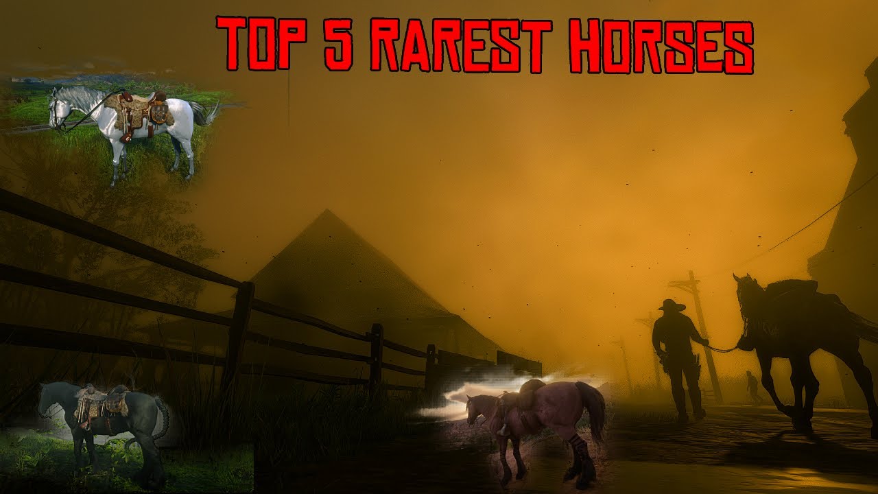 TOP 5 RAREST HORSES-RDR2 STORY MODE - YouTube