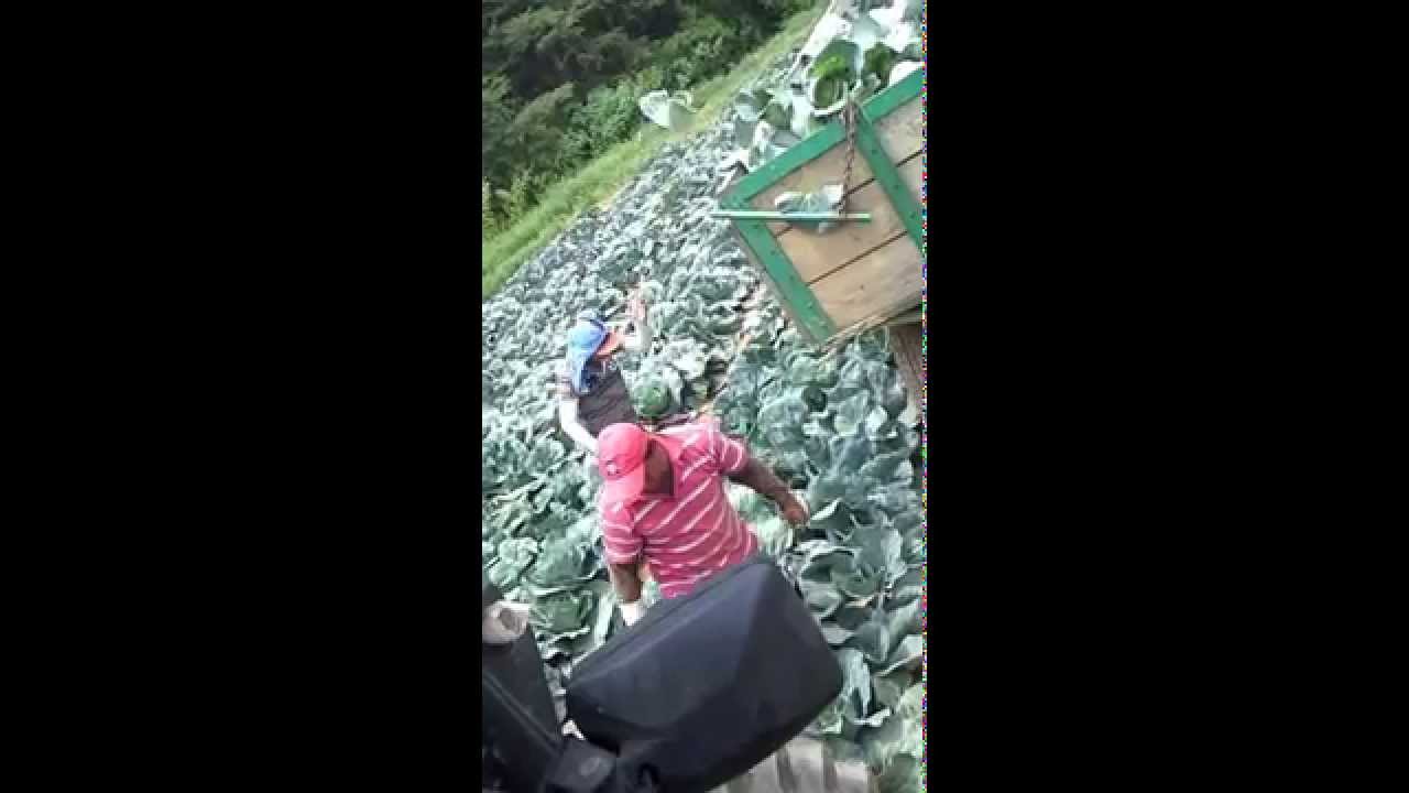 Bottomley Evergreen & Farms - YouTube