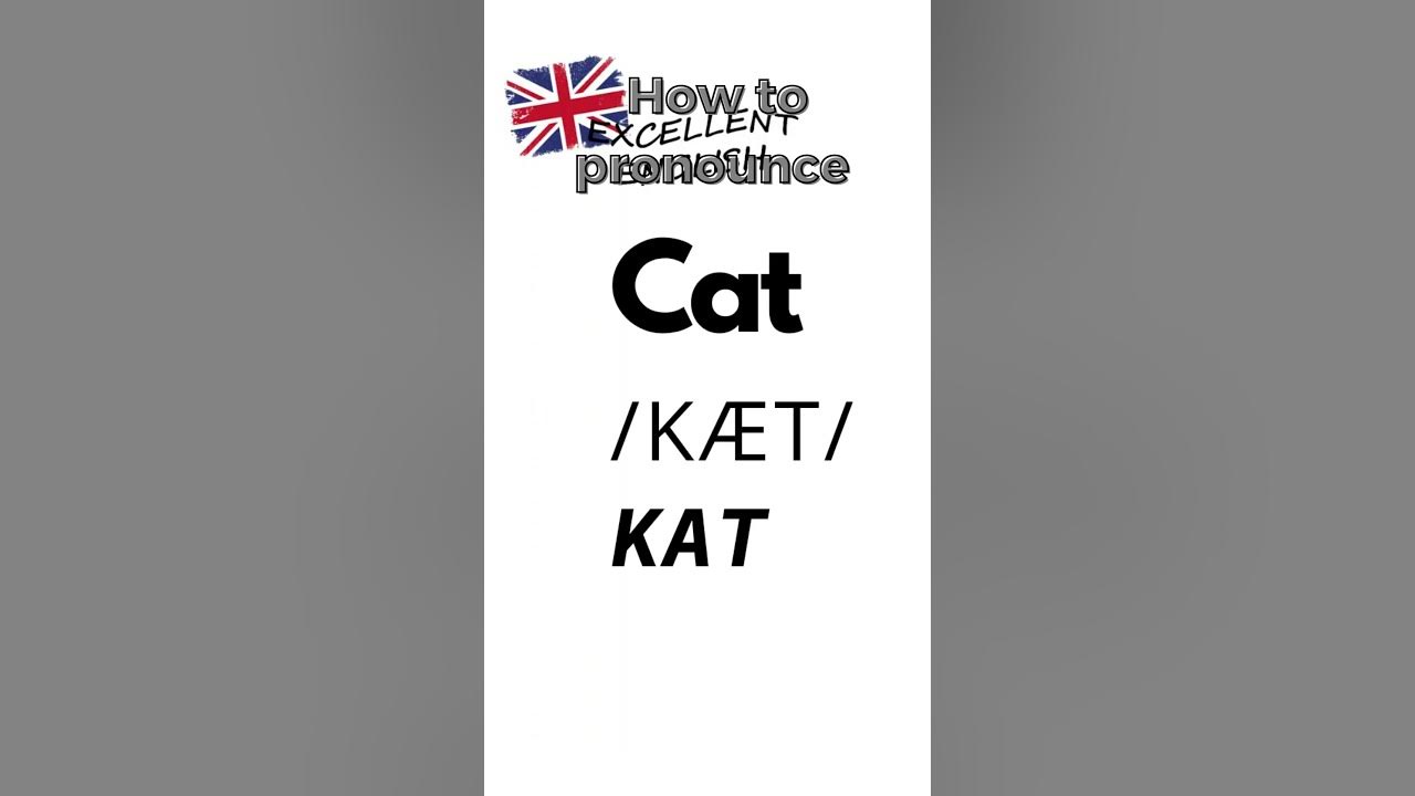 How To Pronounce Cat In British English Animals shorts YouTube how-to-pronounce-cat-in-british-english-animals-shorts-youtube