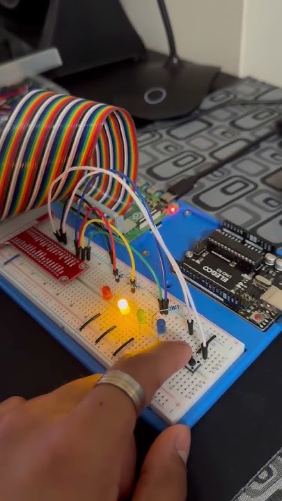 Button-Controlled LEDs - YouTube
