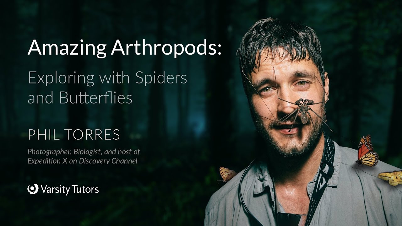 Amazing Arthropods: Exploring With Spiders and Butterflies with PHIL ...