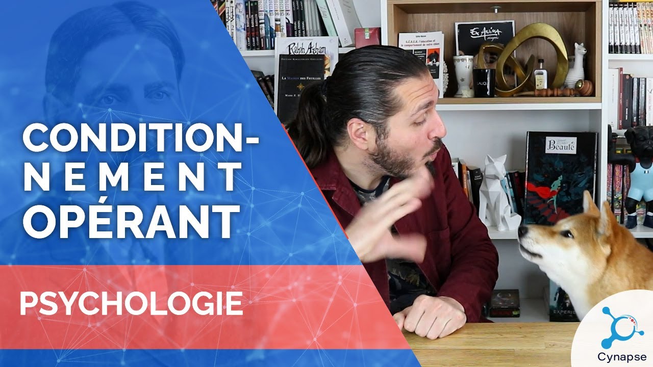 Le conditionnement opérant - PSYCHOLOGIE - YouTube