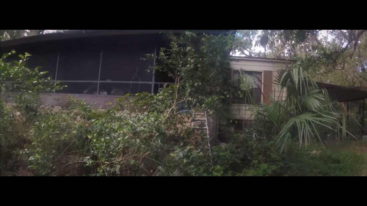 Abandoned cat lady death/hoarder house, everything left - YouTube