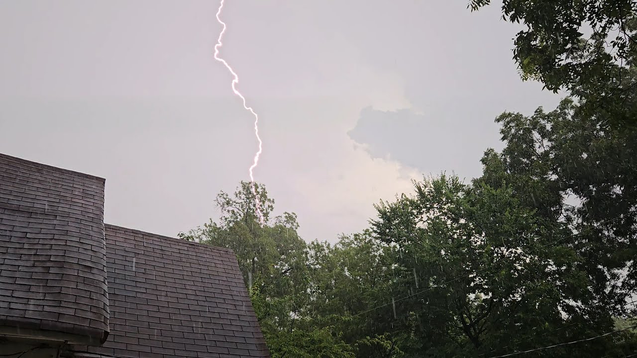 Rain - Sid - Fullmetal Alchemist Brotherhood - YouTube