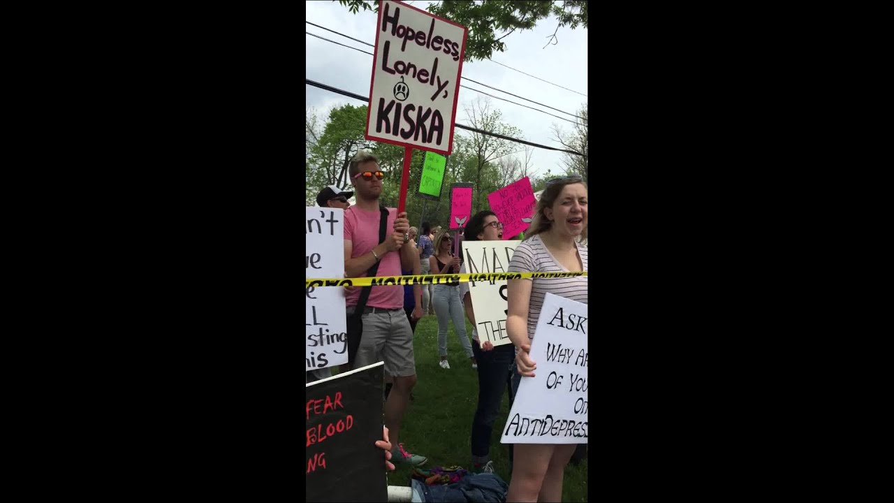 Marineland protesters calling out owner John Holer. - YouTube