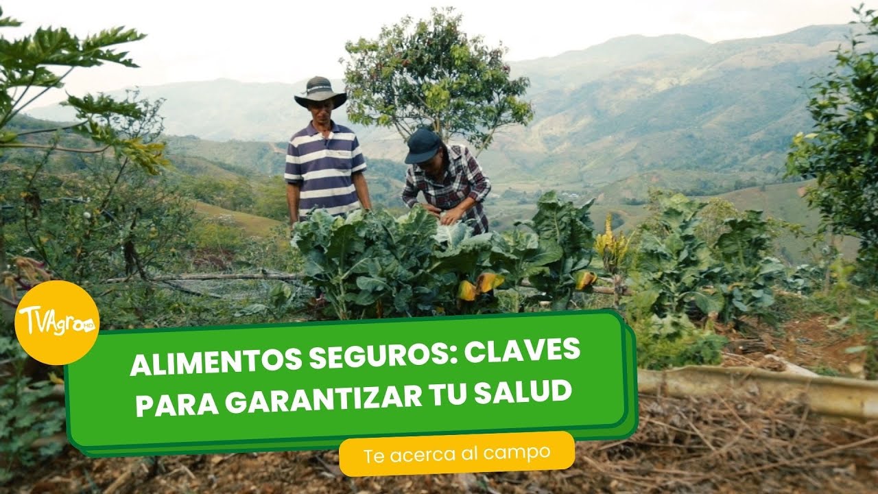 Alimentos Seguros: Claves para Garantizar tu Salud - TvAgro por Juan ...
