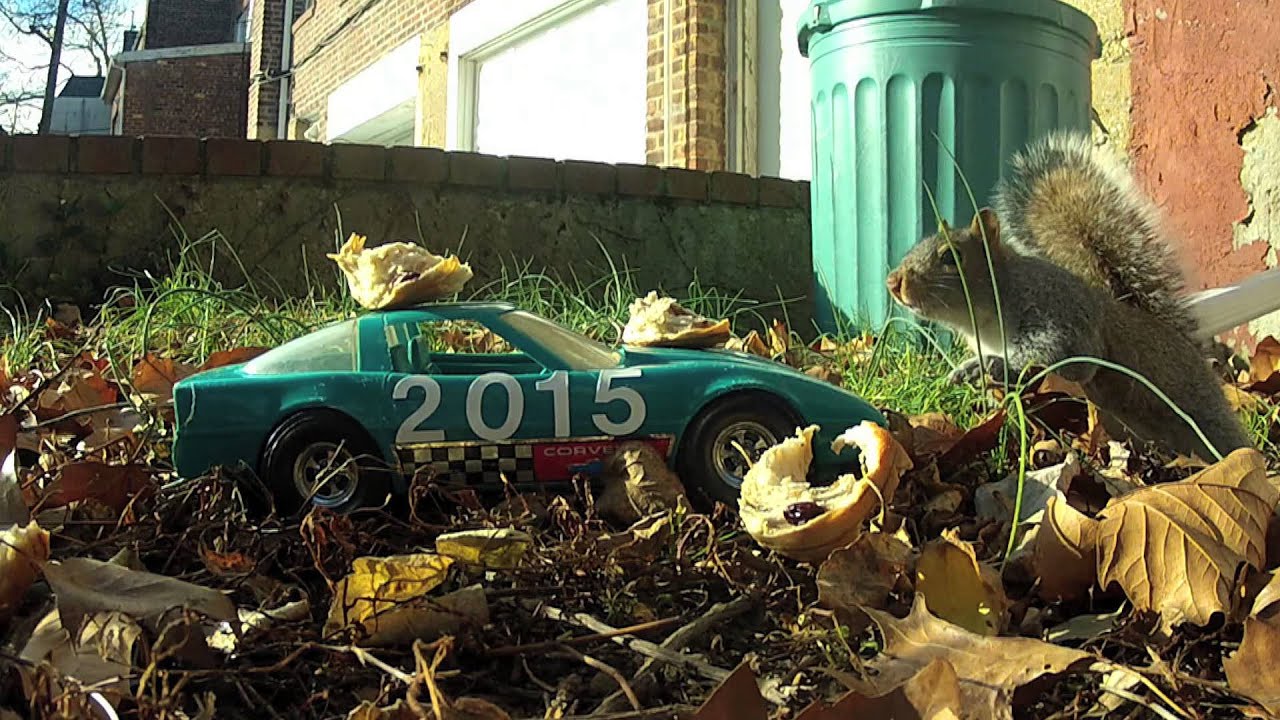 Fast Lane Daily - Promo - Happy 2015 - YouTube
