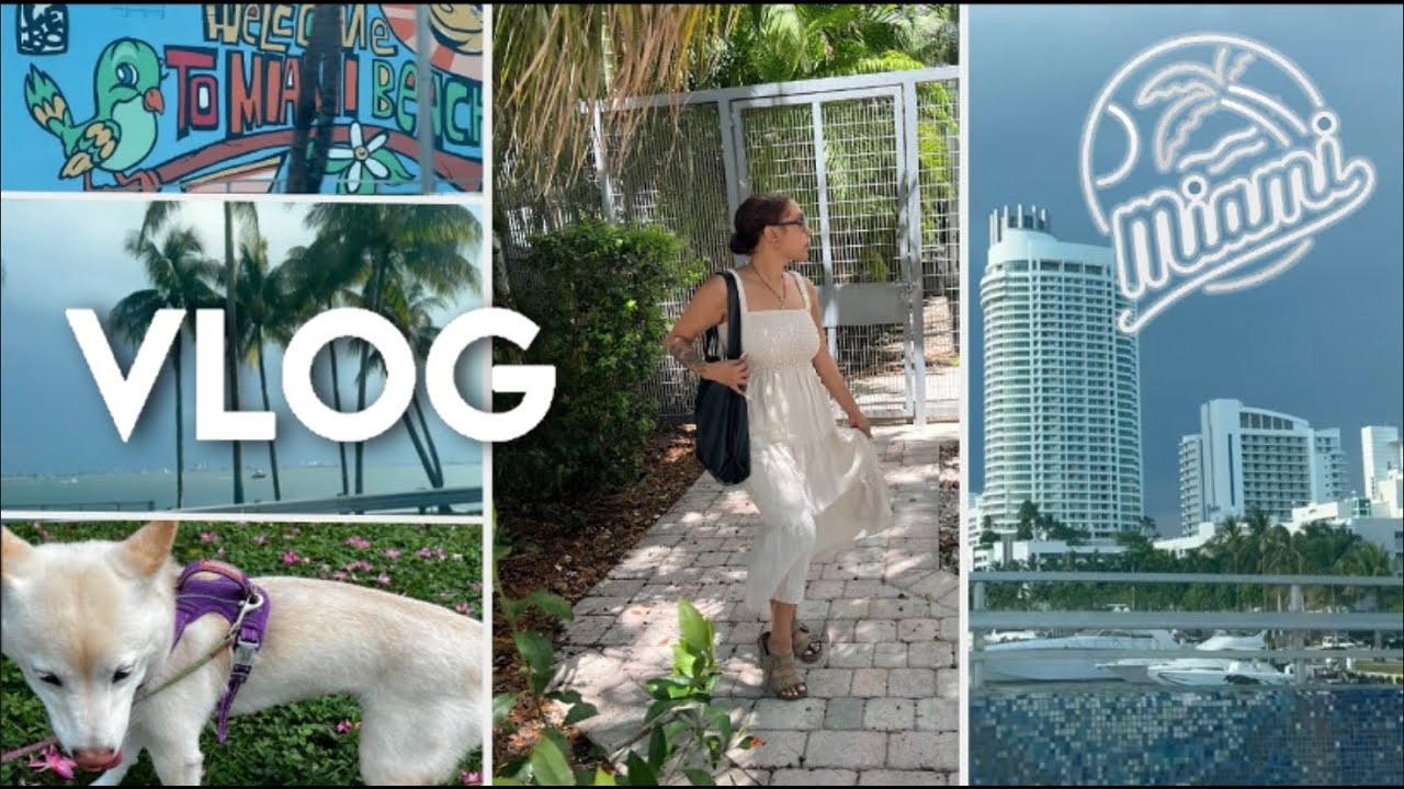 exploring miami beach 🌴 scenic vlog - YouTube