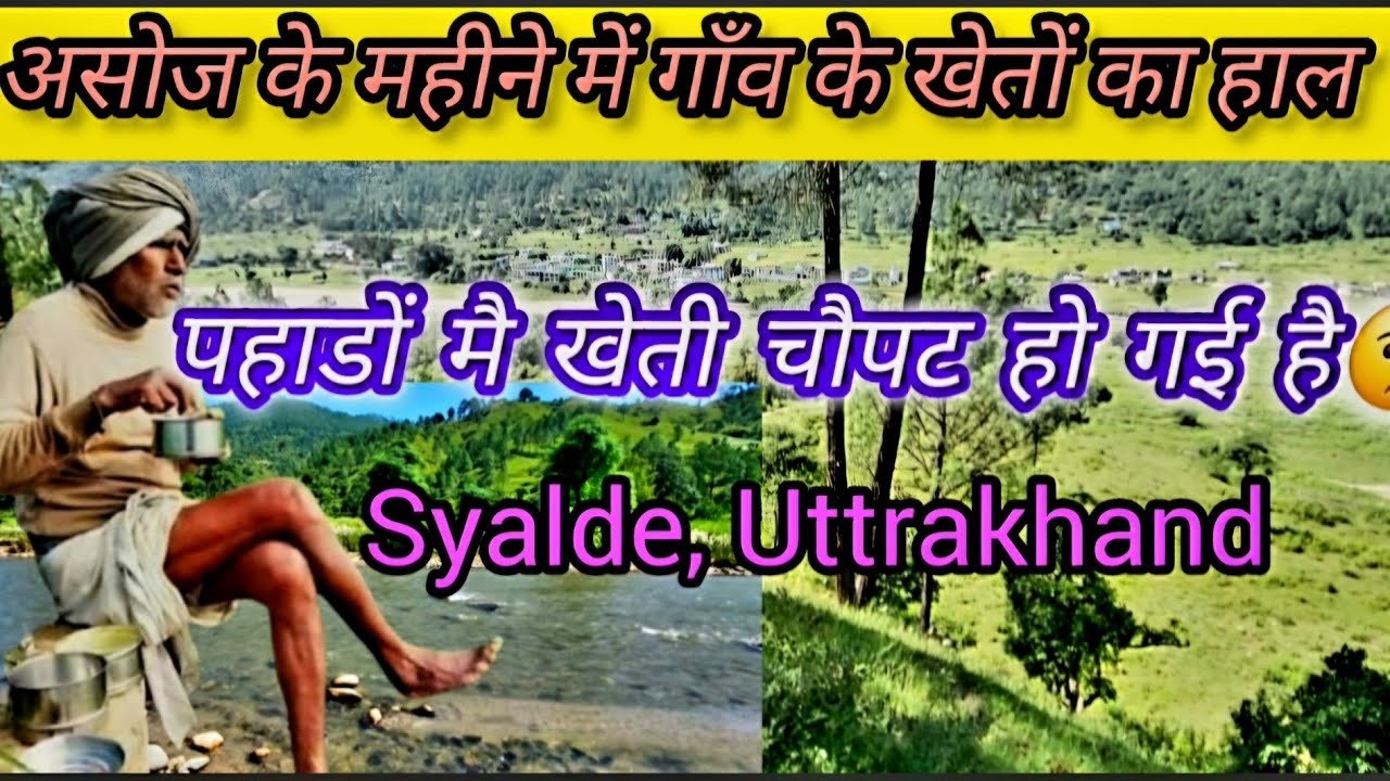 पहाडों मै खेती चौपट हो गई, अशोज का महीना खेत खलिहान वीरान 🥺# Uttrakhand ...