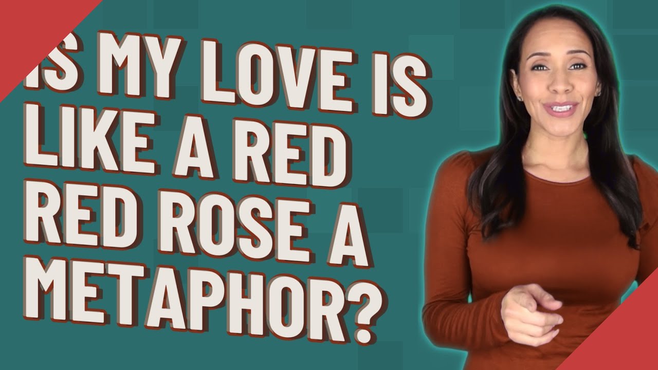 Is My Love is Like a Red Red Rose a metaphor? - YouTube