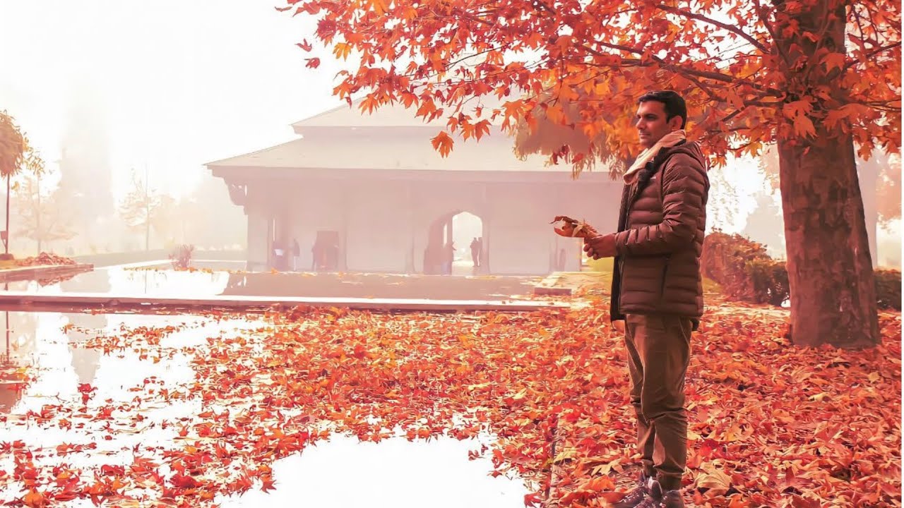 Autumn in Kashmir | Most beautiful Autumn in India | Fall in Kashmir ...